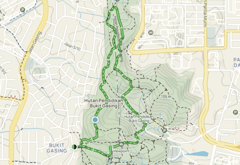 Snakes And Serenity: Savoring The Bukit Gasing Hiking Trail Experience